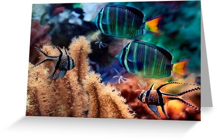 "Tropical fish" by LudaNayvelt | Redbubble