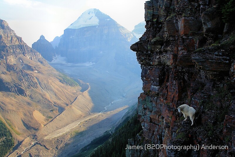 Banff National Park of Canada: "Cliff Walker" : r/pics