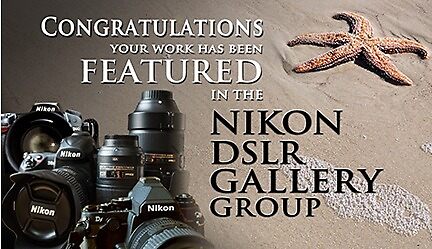 "Lester Trucking" by Sheryl Gerhard | Redbubble