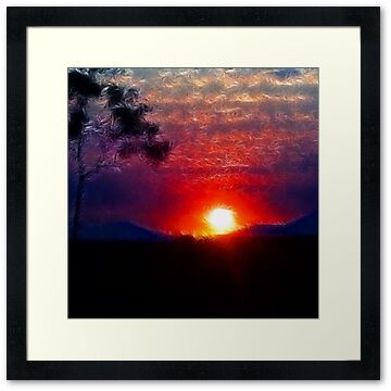 "Bushland sunset" by Jayson Gaskell | Redbubble
