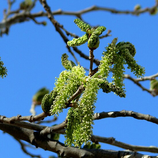 FRUITLESS? – LIFECHURCH